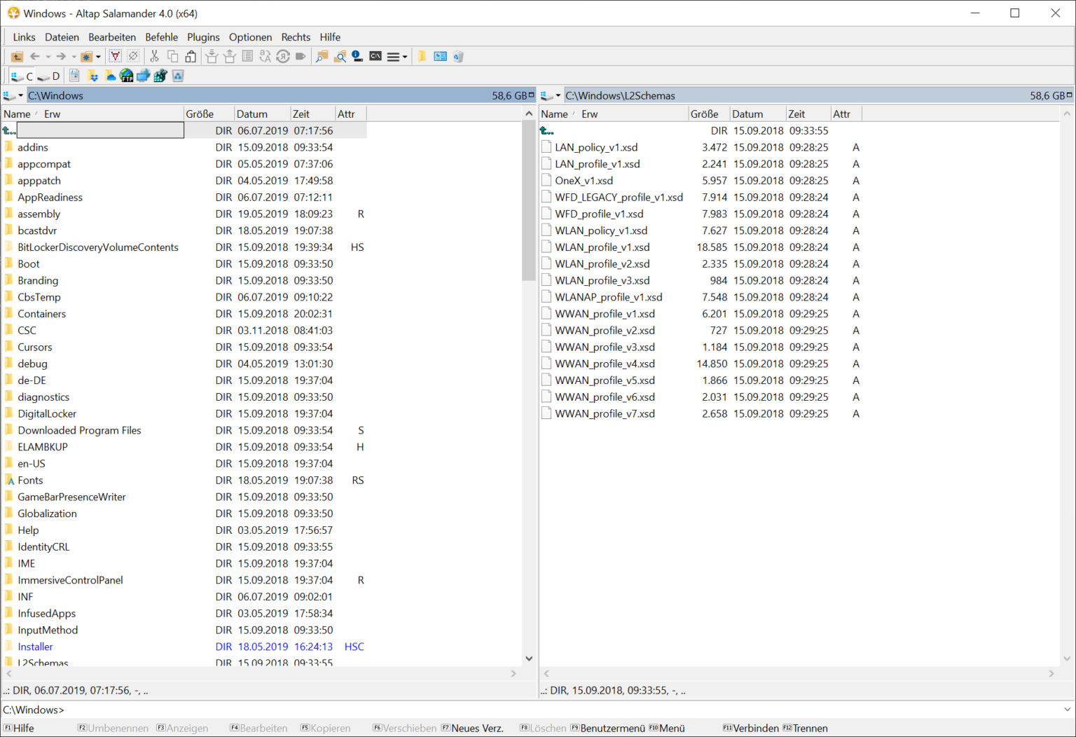 Servant Salamander nun Freeware · seeseekey.net